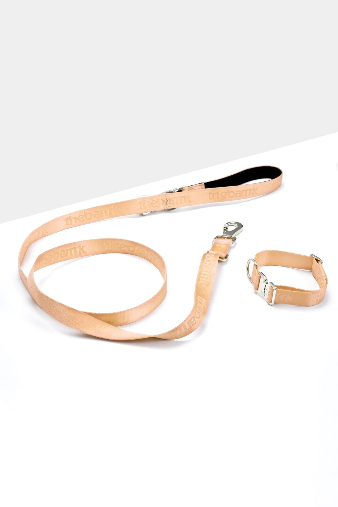 Multicolor Polyester Dog Collar Walk Kit